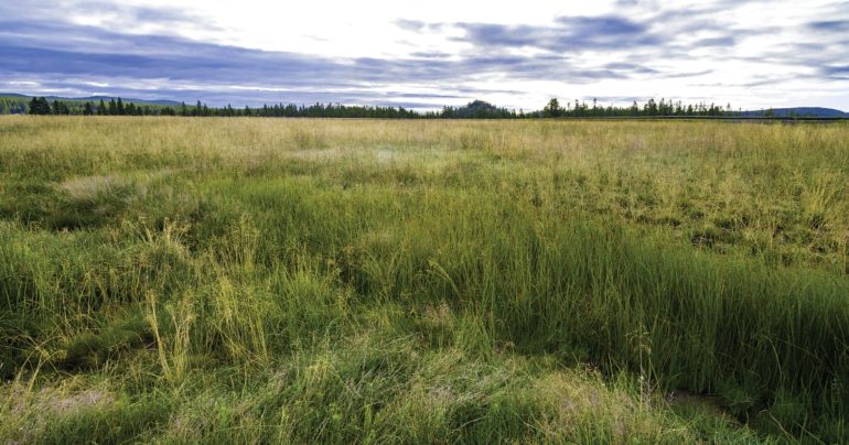 Tips and Tricks to Selling Land Faster | BuyRentKenya