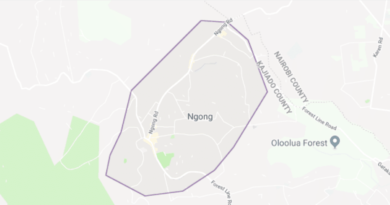 Ngong Neighbourhood Guide | BuyRentKenya